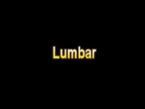 What Is The Definition Of Lumbar