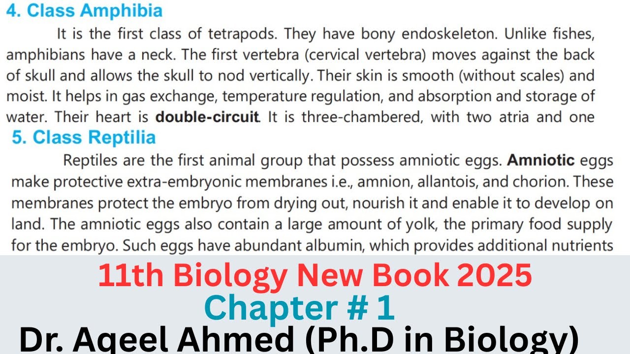 Class Amphibia And Class Reptilia  | Classification of Vertebrates  | 11th Class Biology | Chapter 1