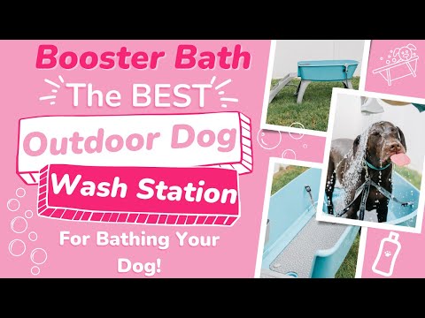 Booster Bath Outdoor Dog Wash Station