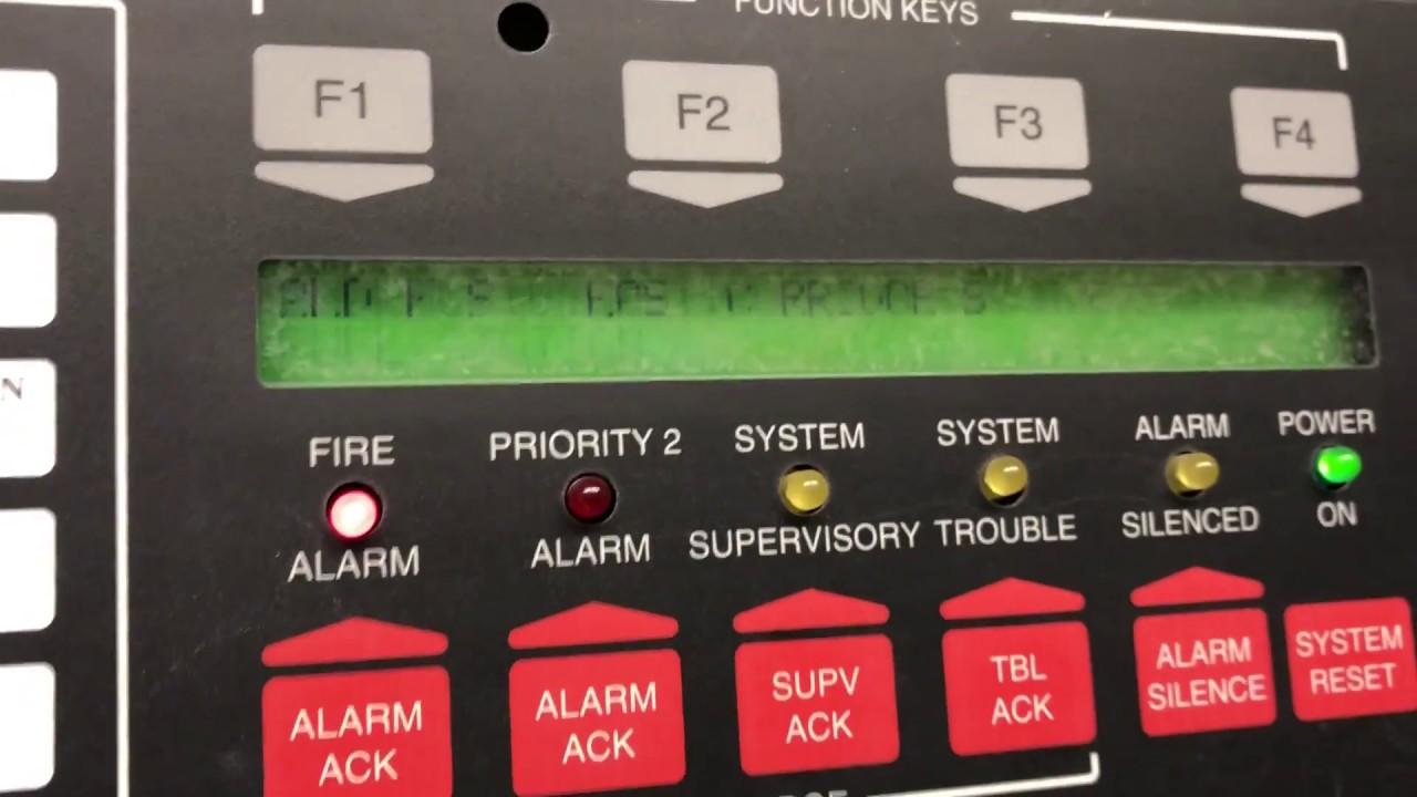 Field Work - Simplex TrueAlerts on Continuous in Elementary School Horn/Strobe Test