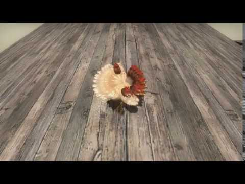 Steam Community :: Video :: spinning chicken