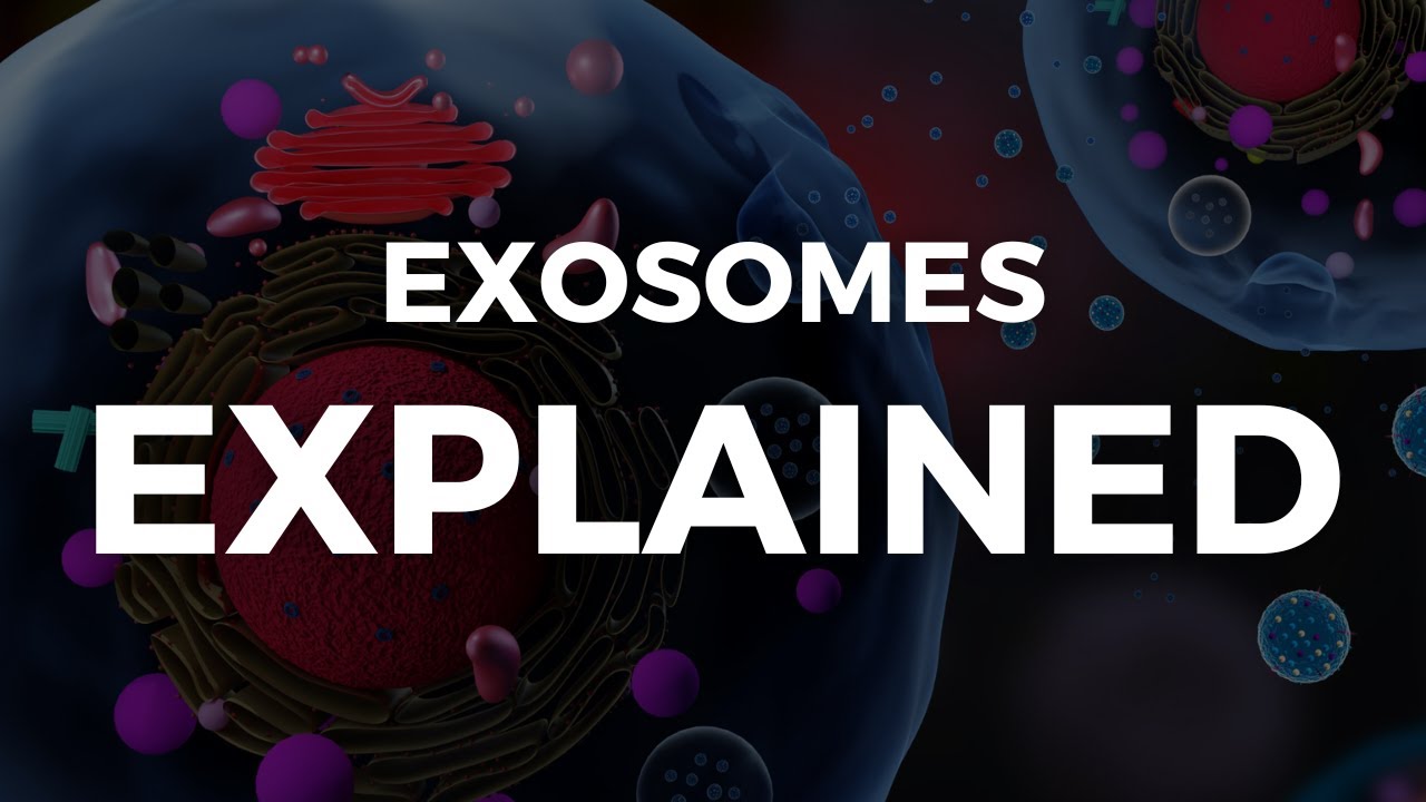 Exosomes EXPLAINED