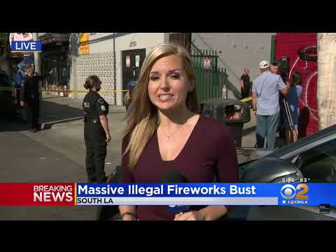 LAPD Saves Los Angeles From Illegal Fireworks
