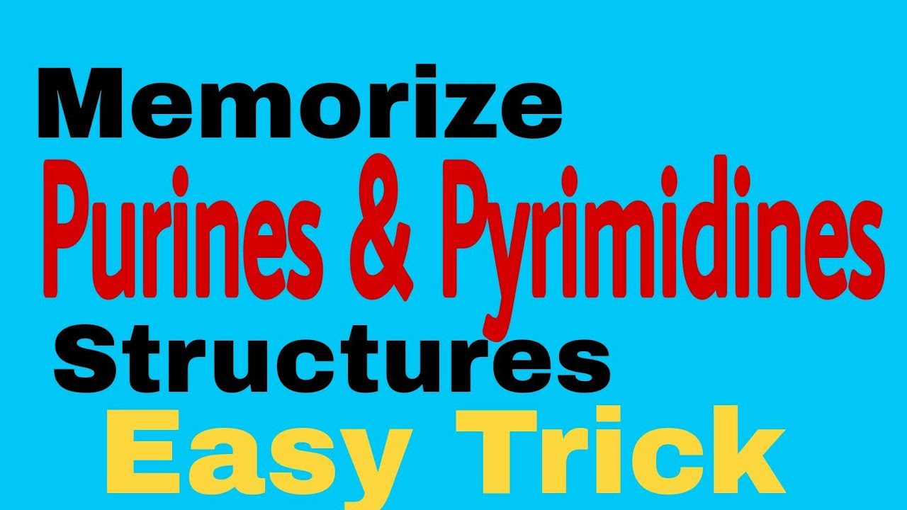 Purine & Pyrimidine Structures ||  Easy way to memorize
