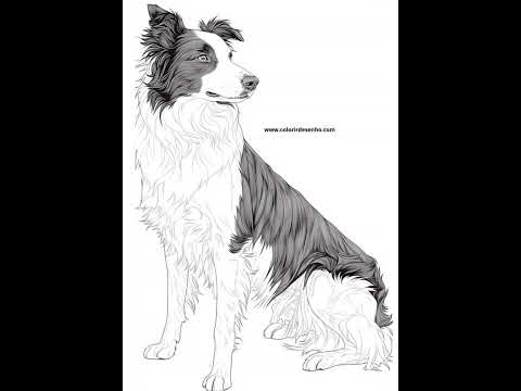 Free Printables Dog and Puppy Coloring Pages 216