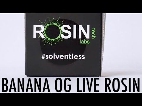 ROSINTECH LABS BANANA OG COLD CURE LIVE ROSIN