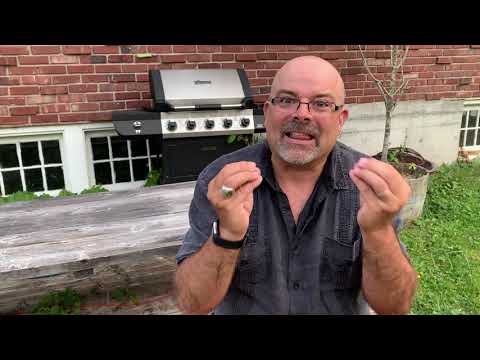 A Zoe Bible Moment "what ZOË means" with Dan of DUZIE