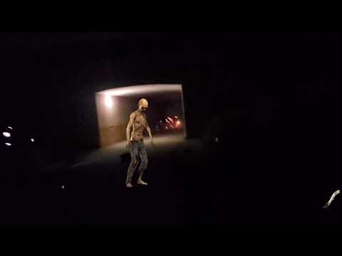 Steam Community :: Video :: zombies IRL
