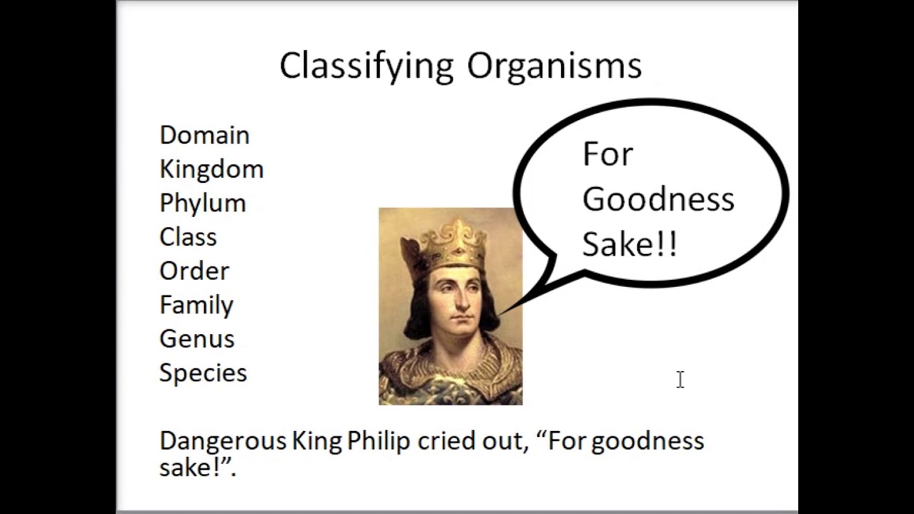 Classifying Organisms (Taxonomy)