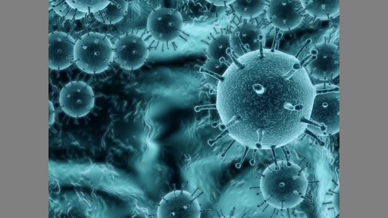 Generalidades de los VIRUS