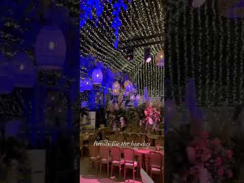 ALMA PROJECT 24/7 - Fairy Lights Ceiling & Tunnel
