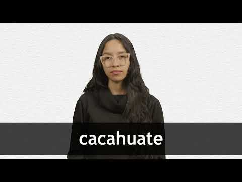 English Translation of “CACAHUATE” | Collins Spanish-English Dictionary