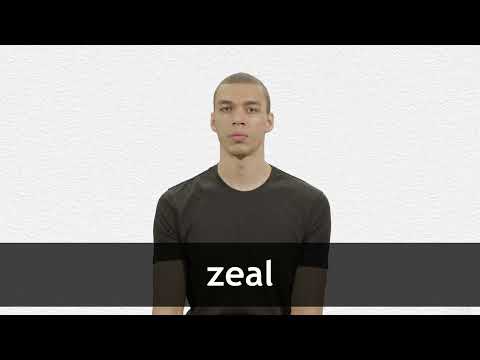 ZEAL definition and meaning | Collins English Dictionary