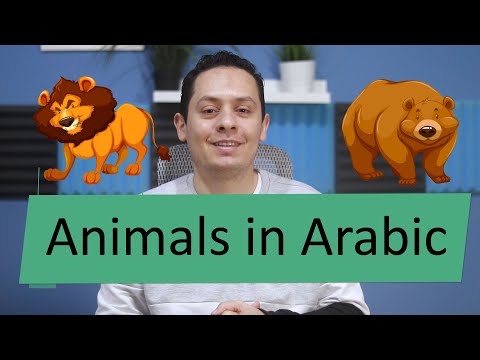 Animals in Arabic - listen to Arabic vocabulary