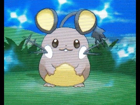 LIVE!! Shiny Dedenne!!!