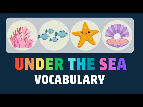 Under the sea vocabulary I Ocean Vocabulary Word List.
