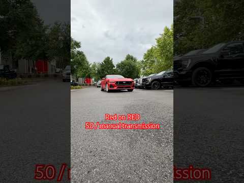 2.5 percent of new cars in 2024 were MANUAL transmissions…😳. That’s ALL‼️ #s650 #mustang #shorts