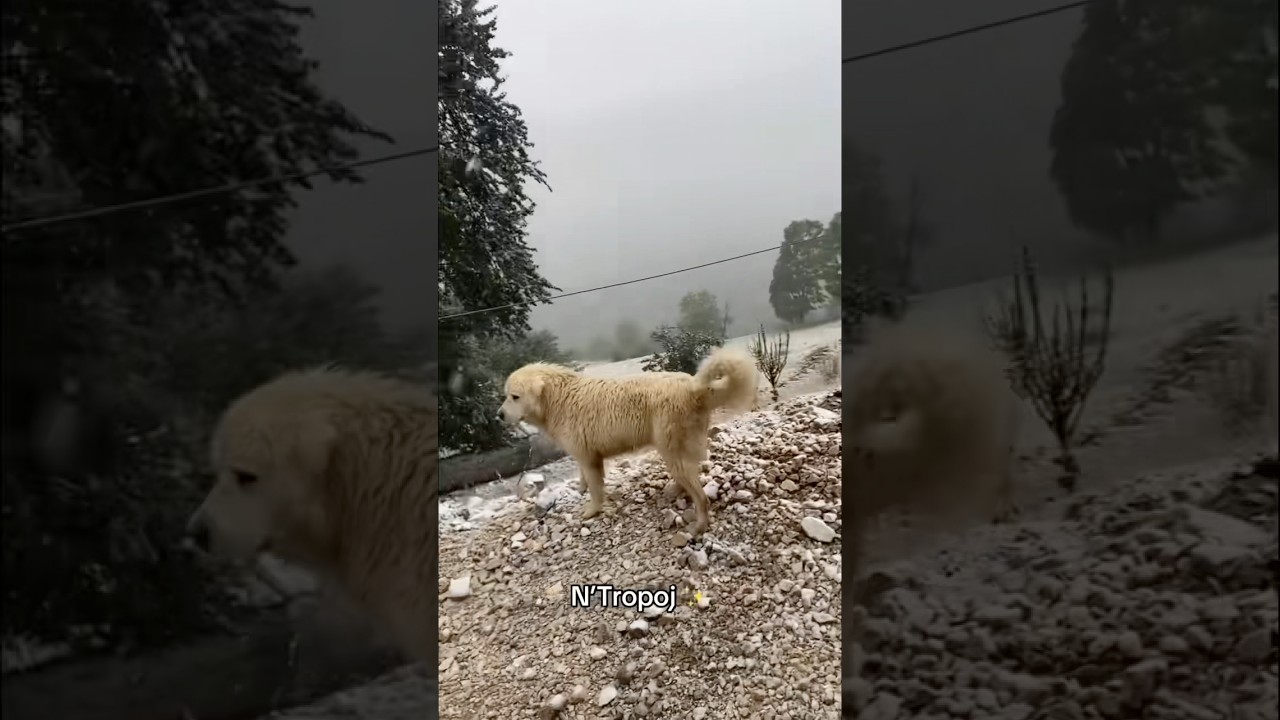 Bora ne Tropoje,Tetor 2025 #tropoje #shqiperi #albania