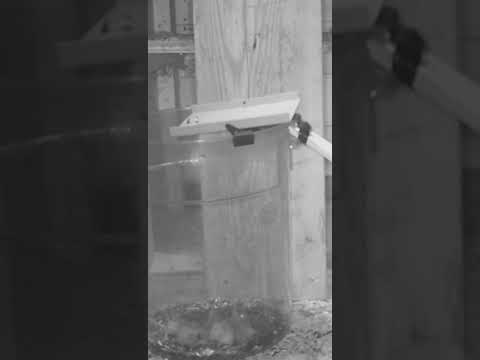 The WIPPOMATIC Mouse Trap - Non Stop Catches. Mousetrap Monday Short