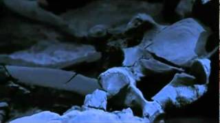 The Ape That Took Over The World - Documentarytube.com