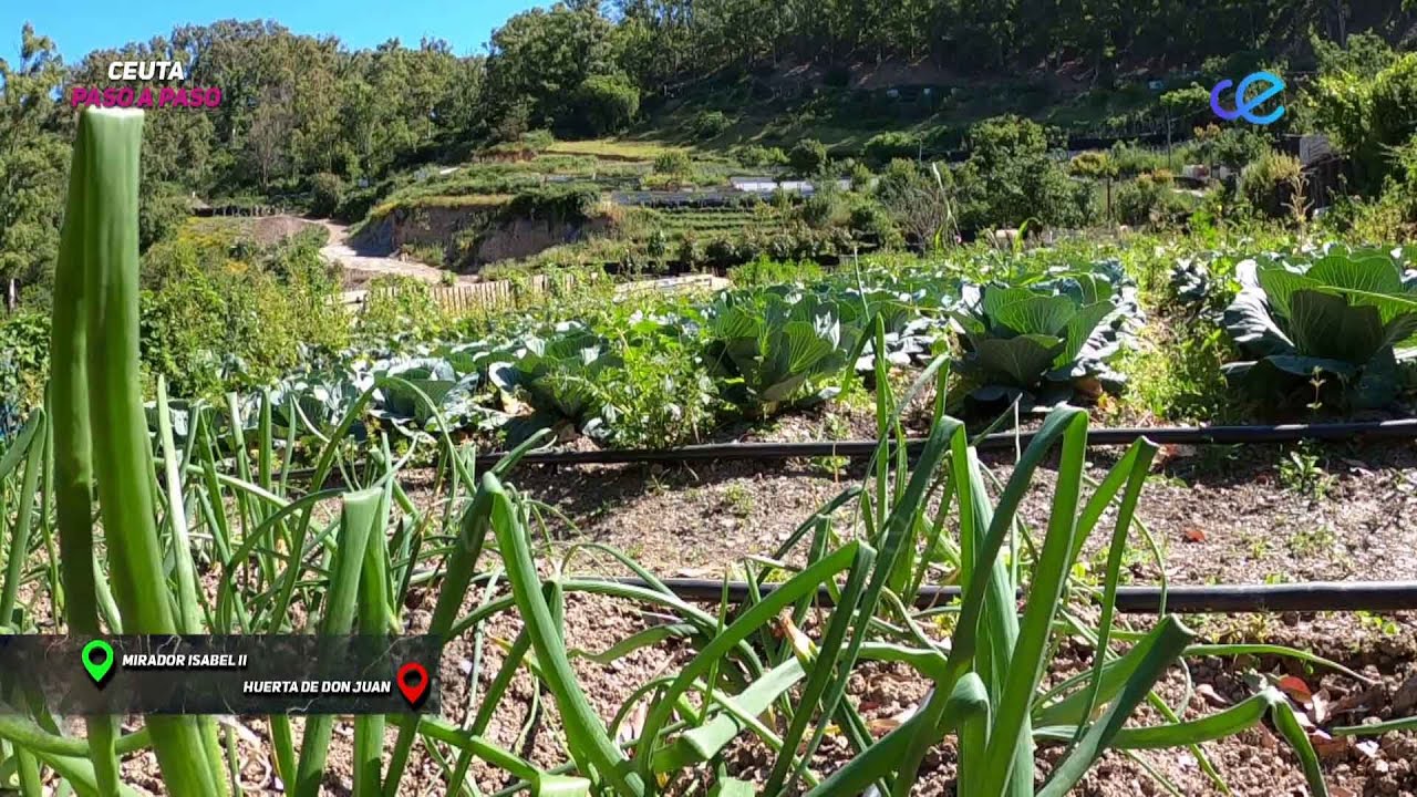 CEUTA PASO A PASO 142: Mirador de Isabel II a la Huerta de Don Juan