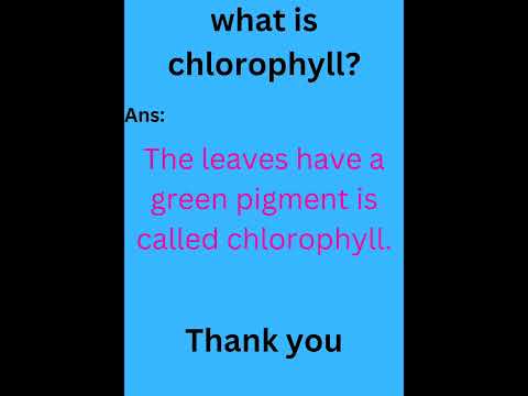 what is chlorophyll? see the answer#shorts