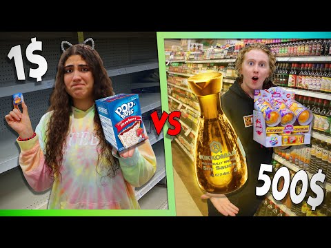 $1 VS $500 MINI BRAND DIET