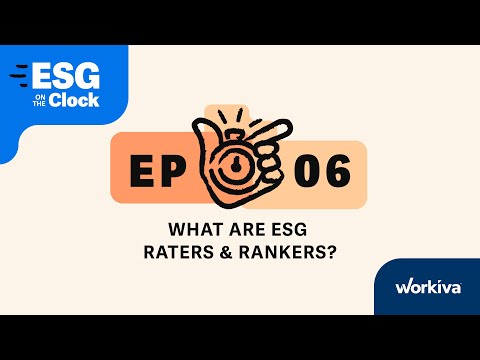 What are ESG Raters & Rankers?
