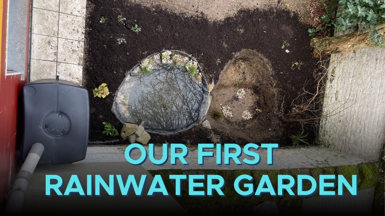 Rainwater garden to reduce sewage overflows to the waterways