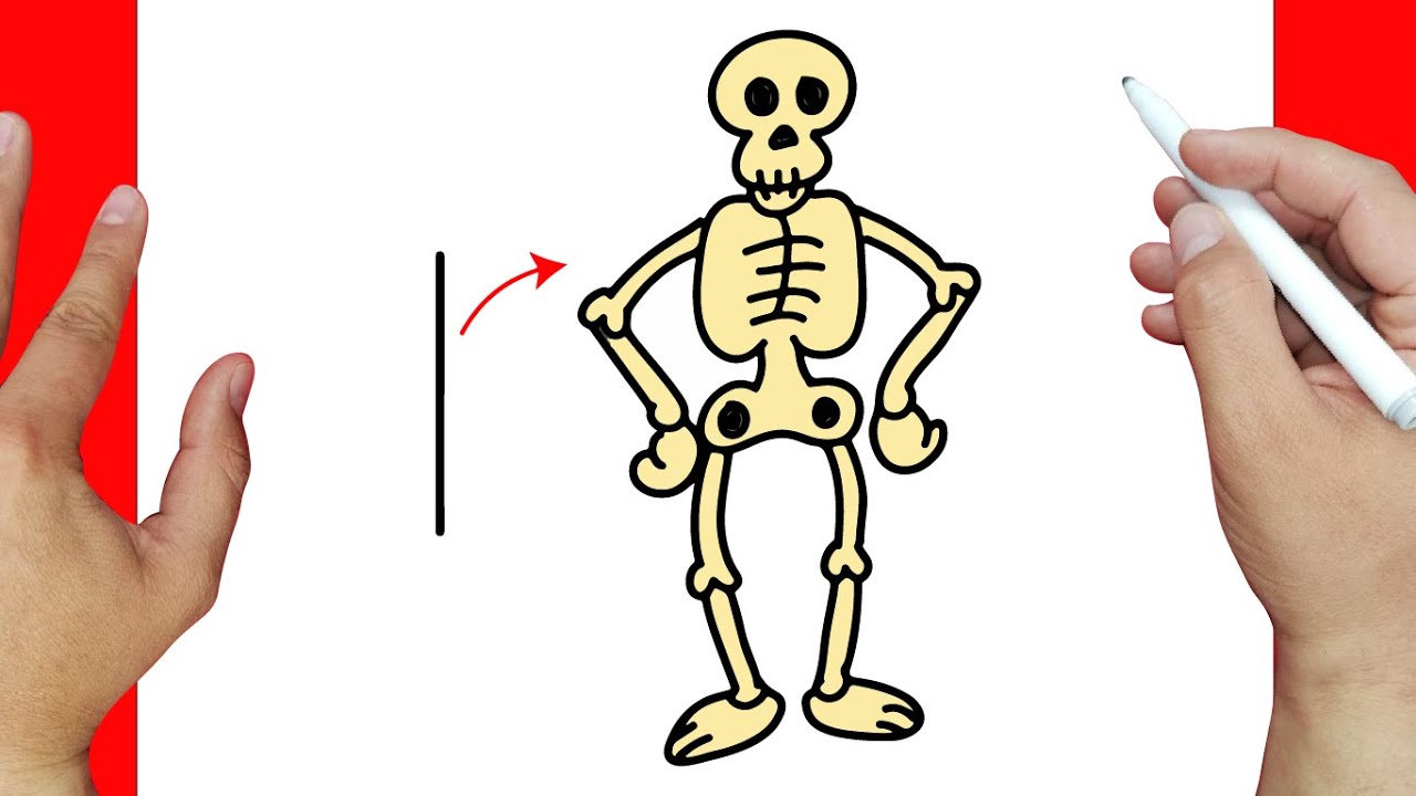 Learn to Draw a Skeleton Step by Step | Easy Drawings