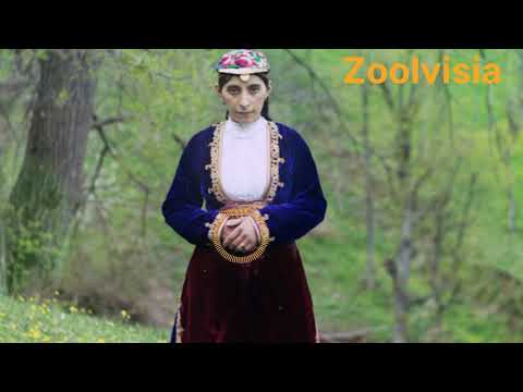 Armenia: Zoolvisia (զուլվիզիա)