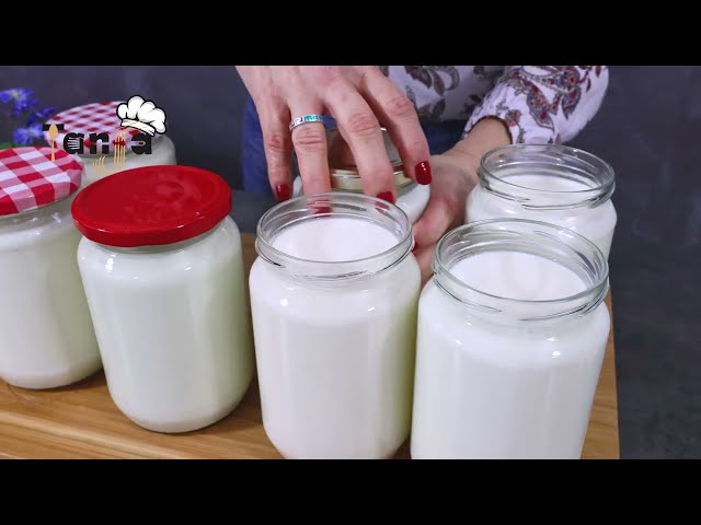 How to Make Homemade Yogurt: A Step-by-Step Guide | Galaxy.ai
