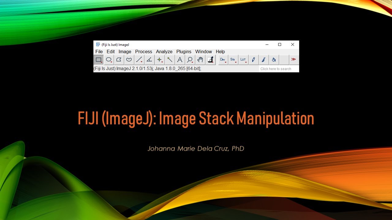 FIJI (ImageJ): Image Stack Manipulation