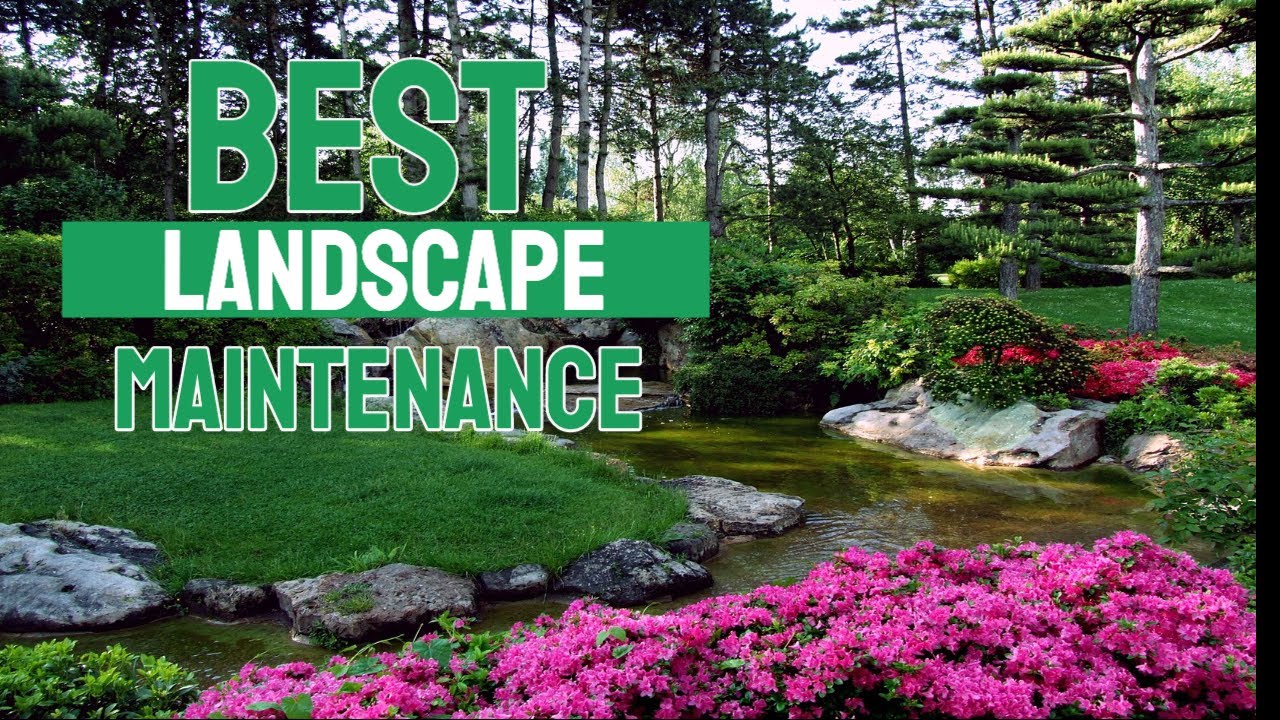 Best Landscape Maintenance in Bluffton SC l Rose Landscape