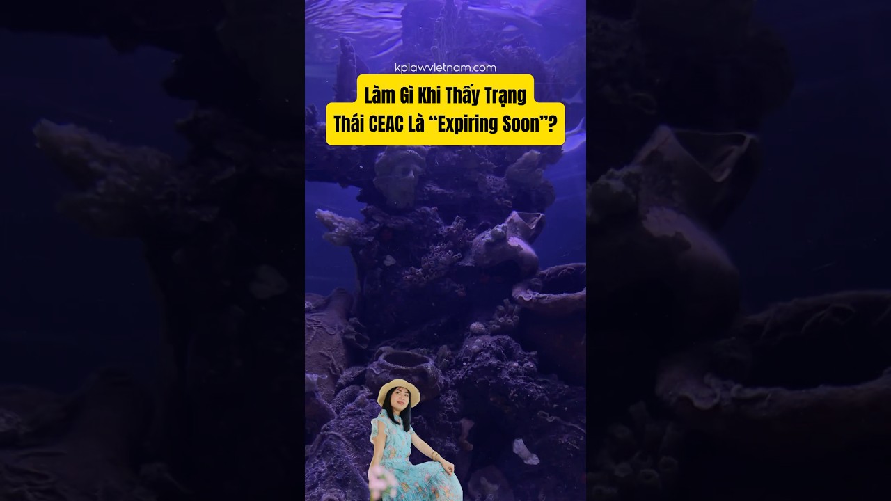 Làm Gì Khi Thấy Trạng Thái CEAC Là 