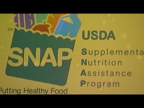 Georgia SNAP renewals backlog update