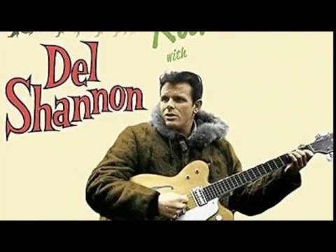 Del Shannon - Biography, Songs, Albums, Discography & Facts - Top40weekly