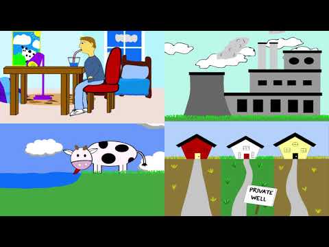 Groundwater and Surface Water Interactions