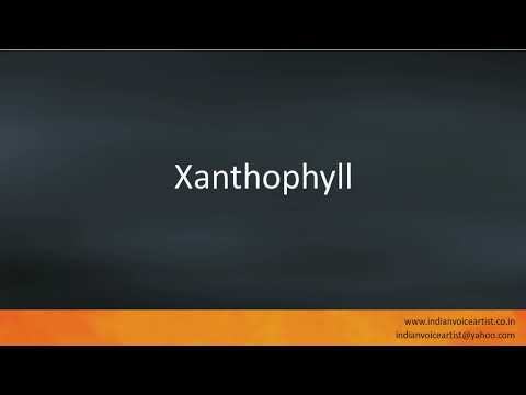 Pronunciation of the word(s) "Xanthophyll".