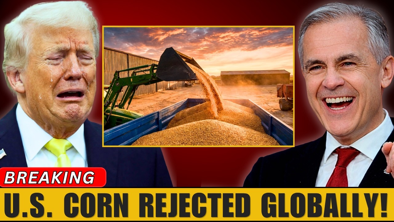 JUST IN U.S. Corn REJECTED Worldwide — Canada’s Premium Crop DOMINATES!
