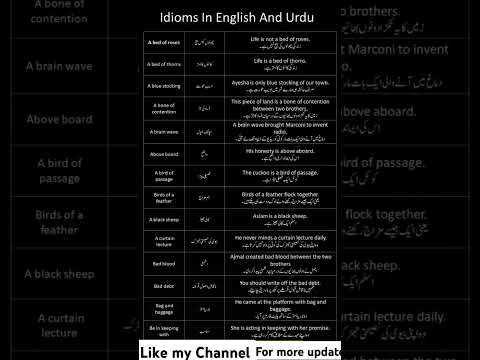 Viral English and Urdu Idioms in 2025: Must-Know Phrases for Language Learners🌍✨ #viralshort