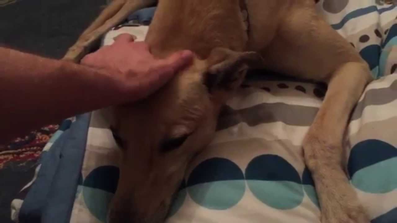 10 Simple Things To Be Happy About (Home Edition)