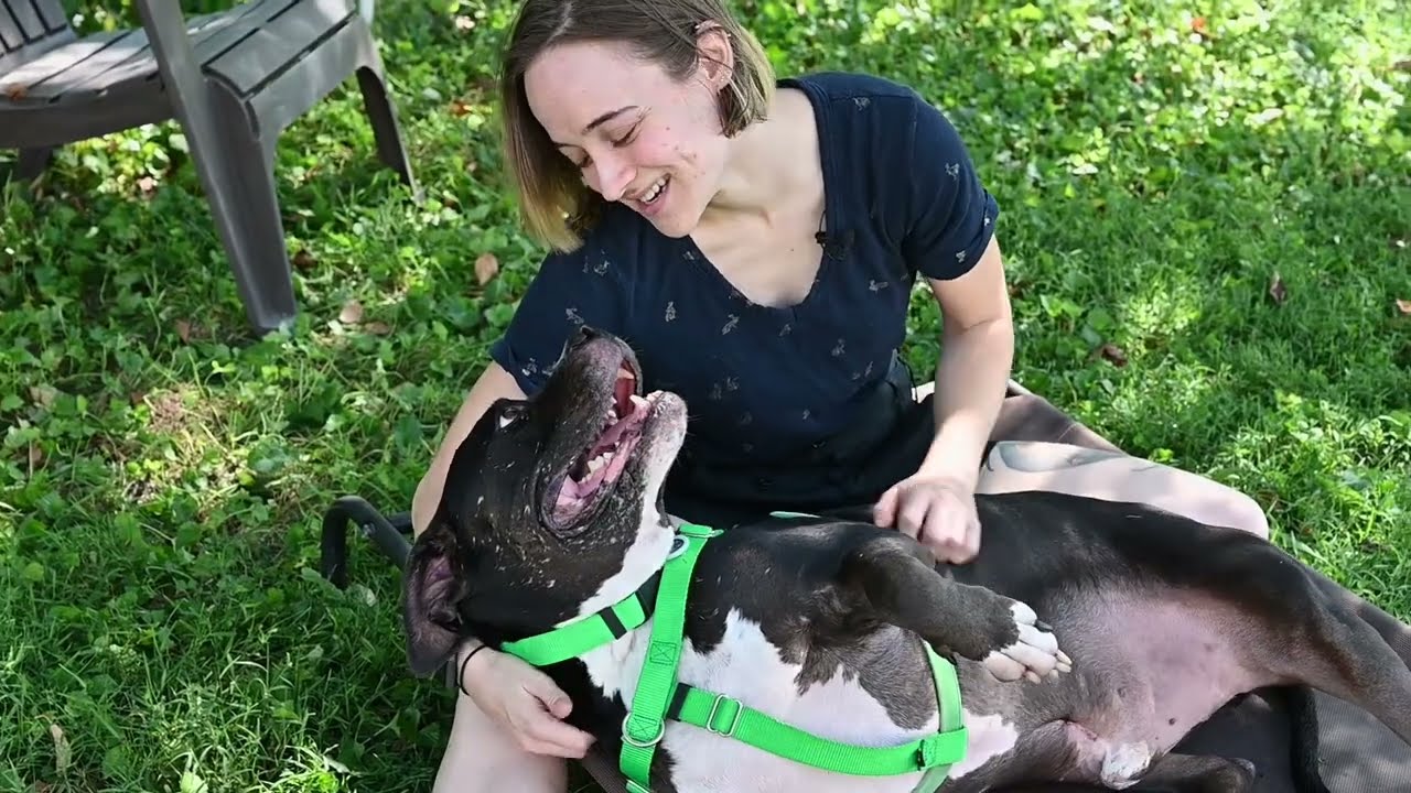 BVSPCA: We are the Bridge to a Brighter Future