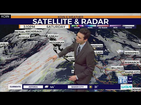 Weather forecast: Morning fog and afternoon sunshine to wrap up our last November weekend