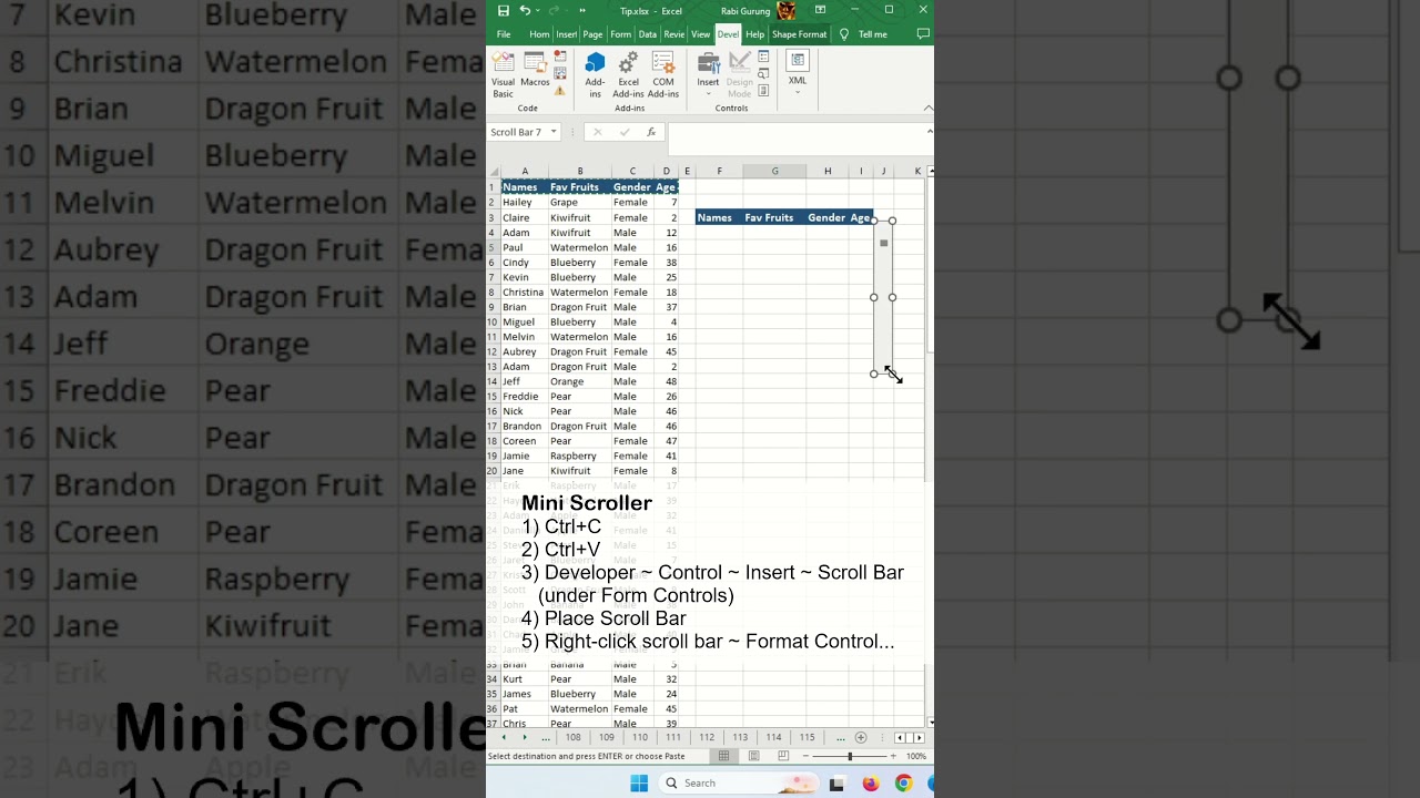Mini Scroll Bar Widget - Excel Tips and Tricks