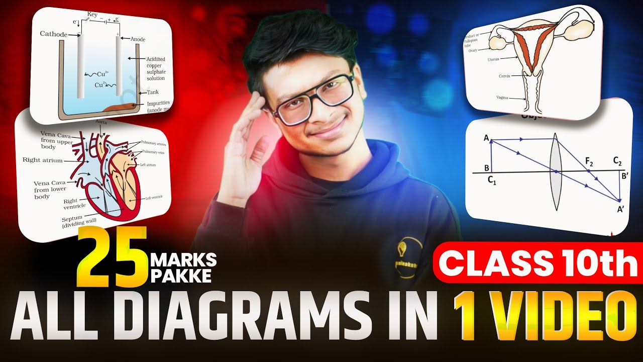 Mastering Class 10 Science Diagrams: A Comprehensive Guide | Galaxy.ai