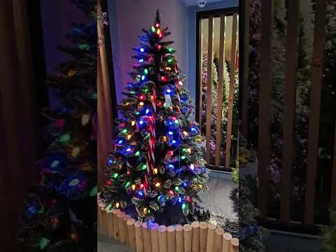 Colorful Changing Doorway Christmas Tree!#christmas #christmastree #decoration #decor #christmastree