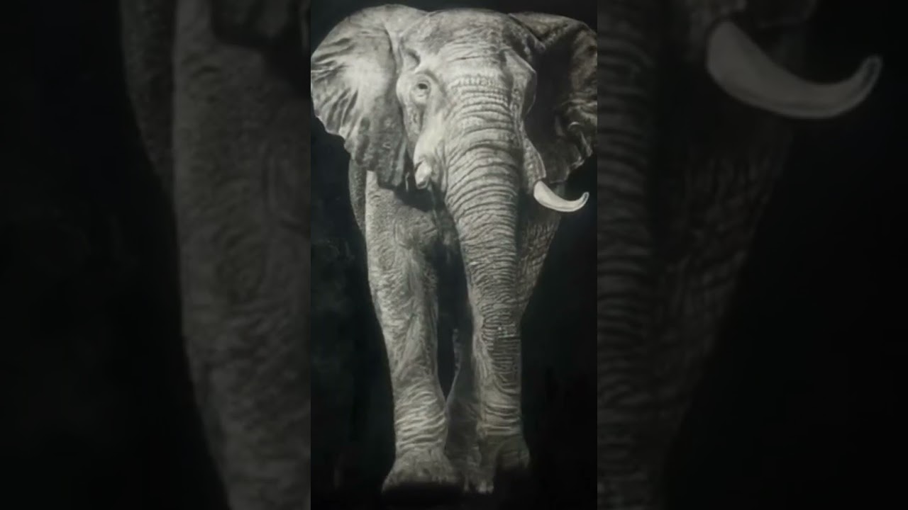 Art comes to life - African Elephants #elephants #artists