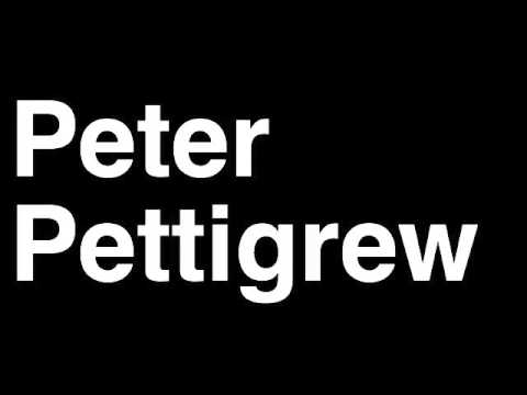 How to Pronounce Peter Pettigrew Scabbers Harry Potter Books Movies Cast Characters Runforthecube