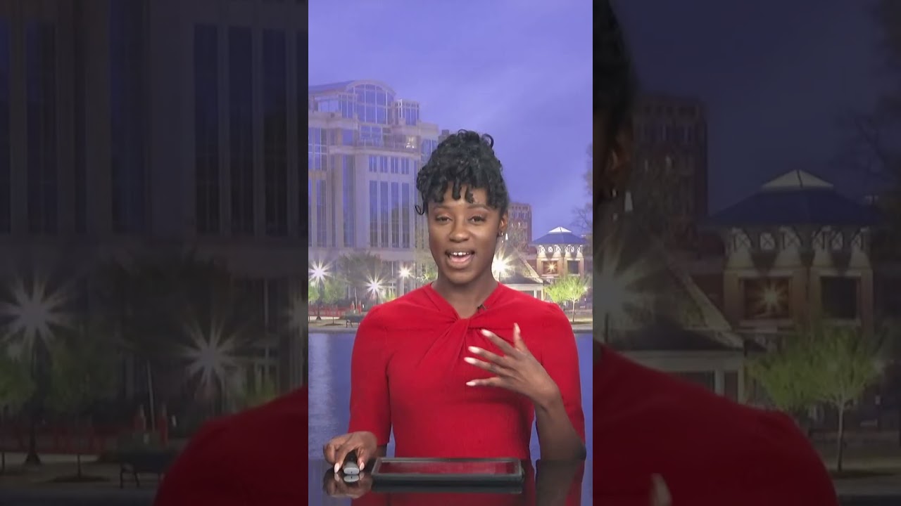 Cat found 200+ miles from home is reunited with family thanks to microchip 🐾❤️